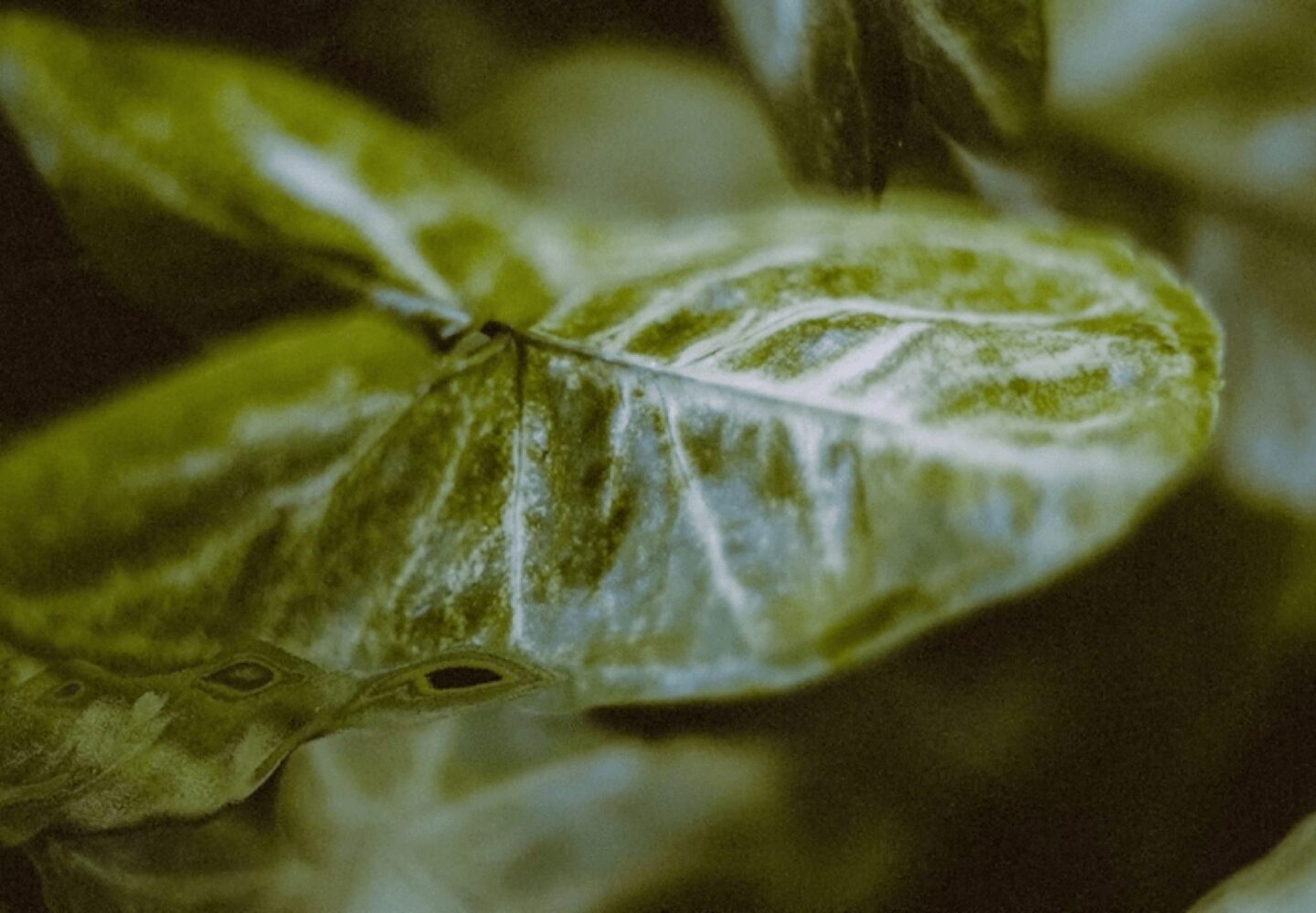 Home Insempra – Insempra®