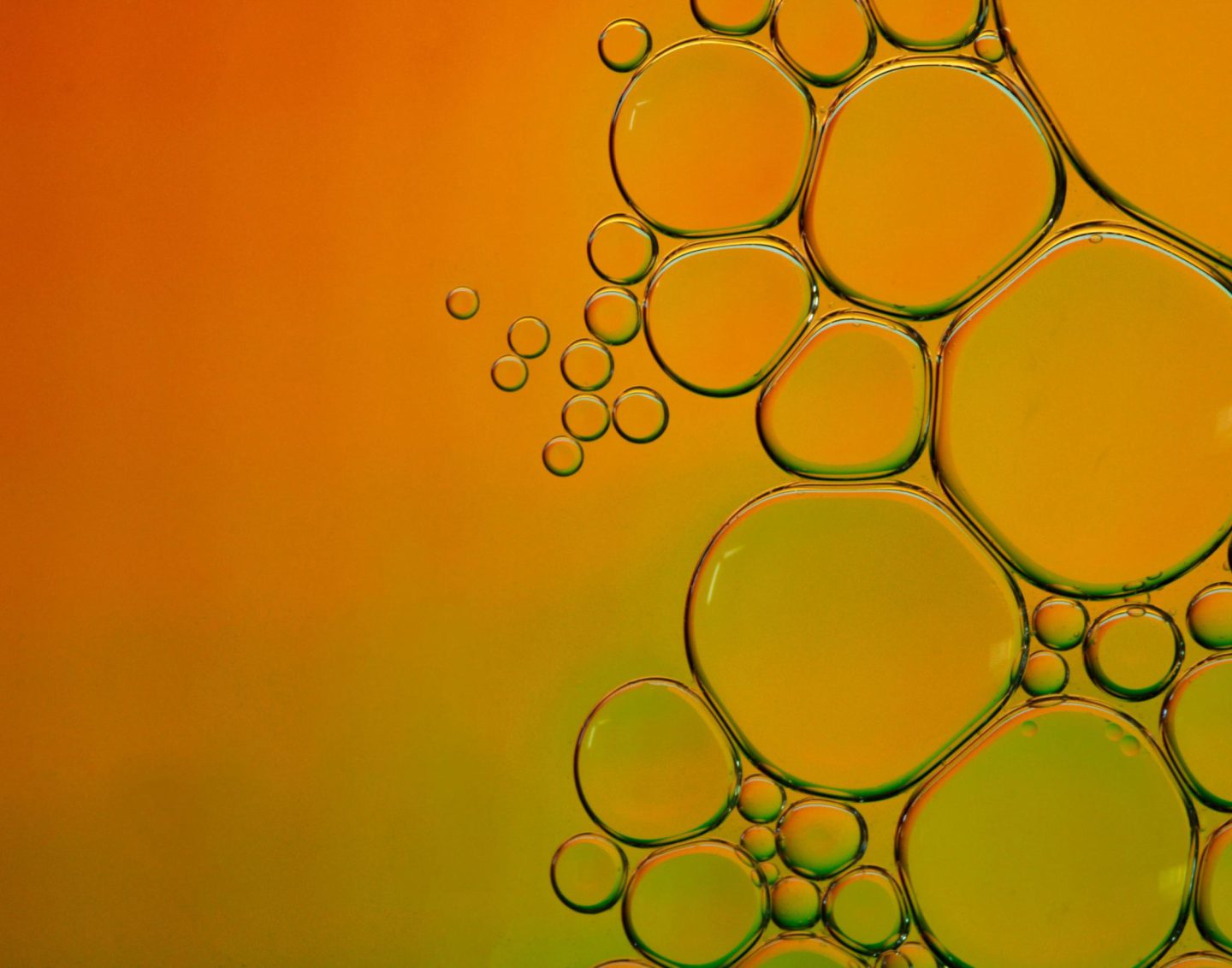 Origin.bio and Carbocycle join forces to revolutionize the chemical ...