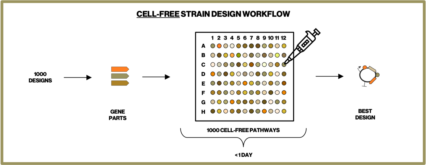 Cell-Free Technology established at Insempra – Insempra®